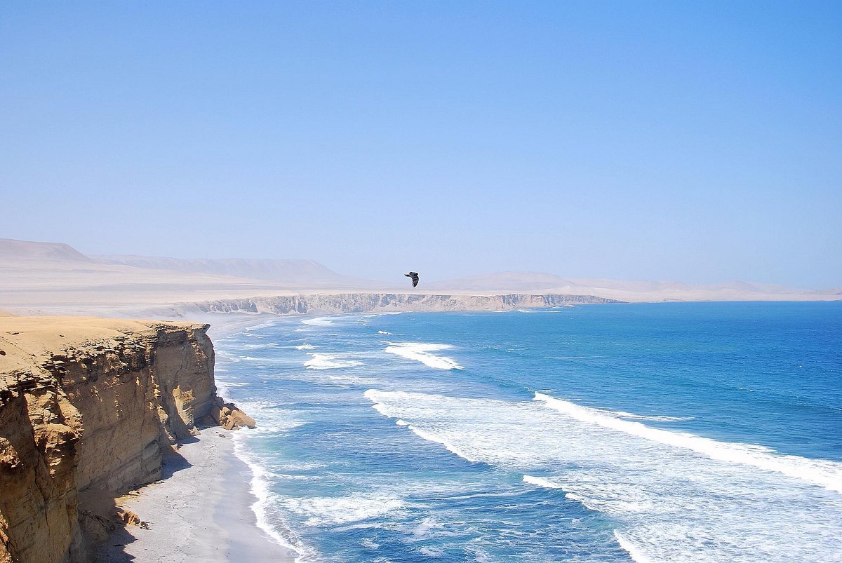 Playa Supay Paracas Perú: Guía Completa para tu Próxima Aventura ...